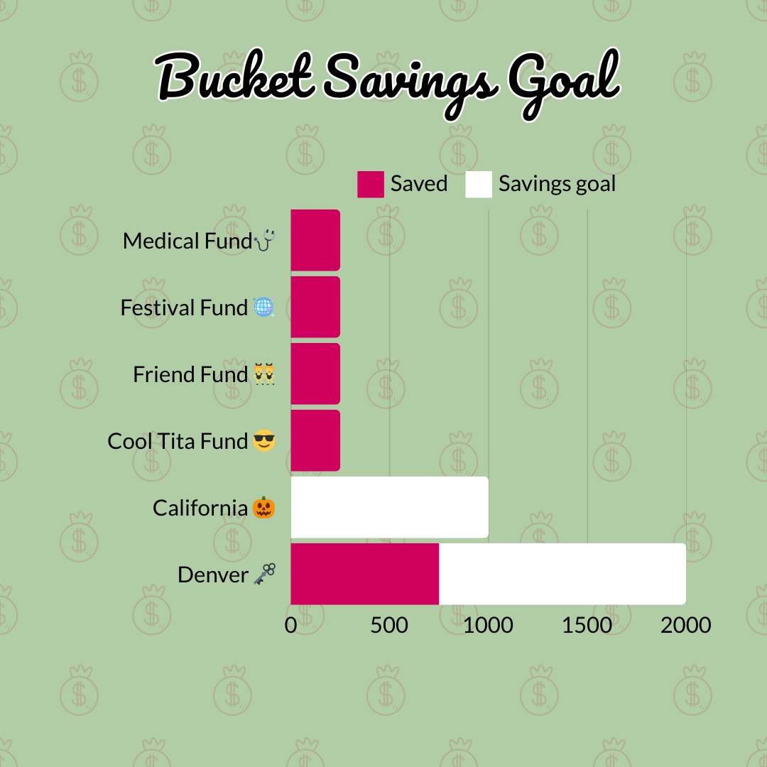 My mini funds are fully funded! | February 2025 Monthly Money Progress ...